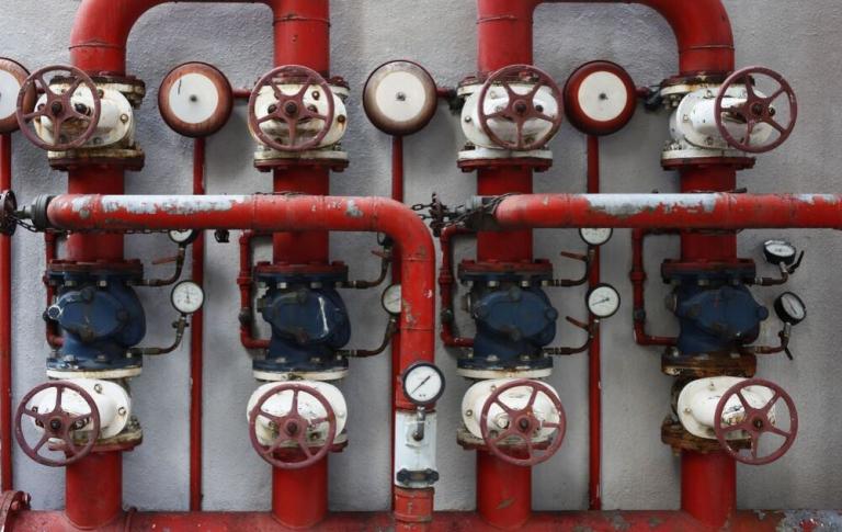 What are Valves in Veins and How do They Work - USA Vein Clinics