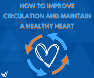 How To Improve Circulation By Maintaining A Healthy Heart