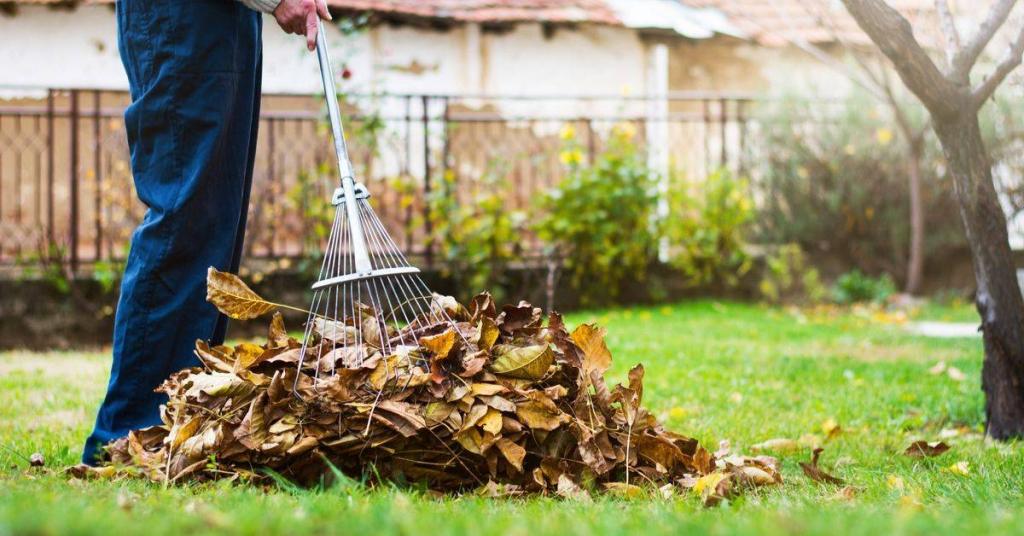 7 Exercises For Fall | Blog Article | USA Vein Clinics