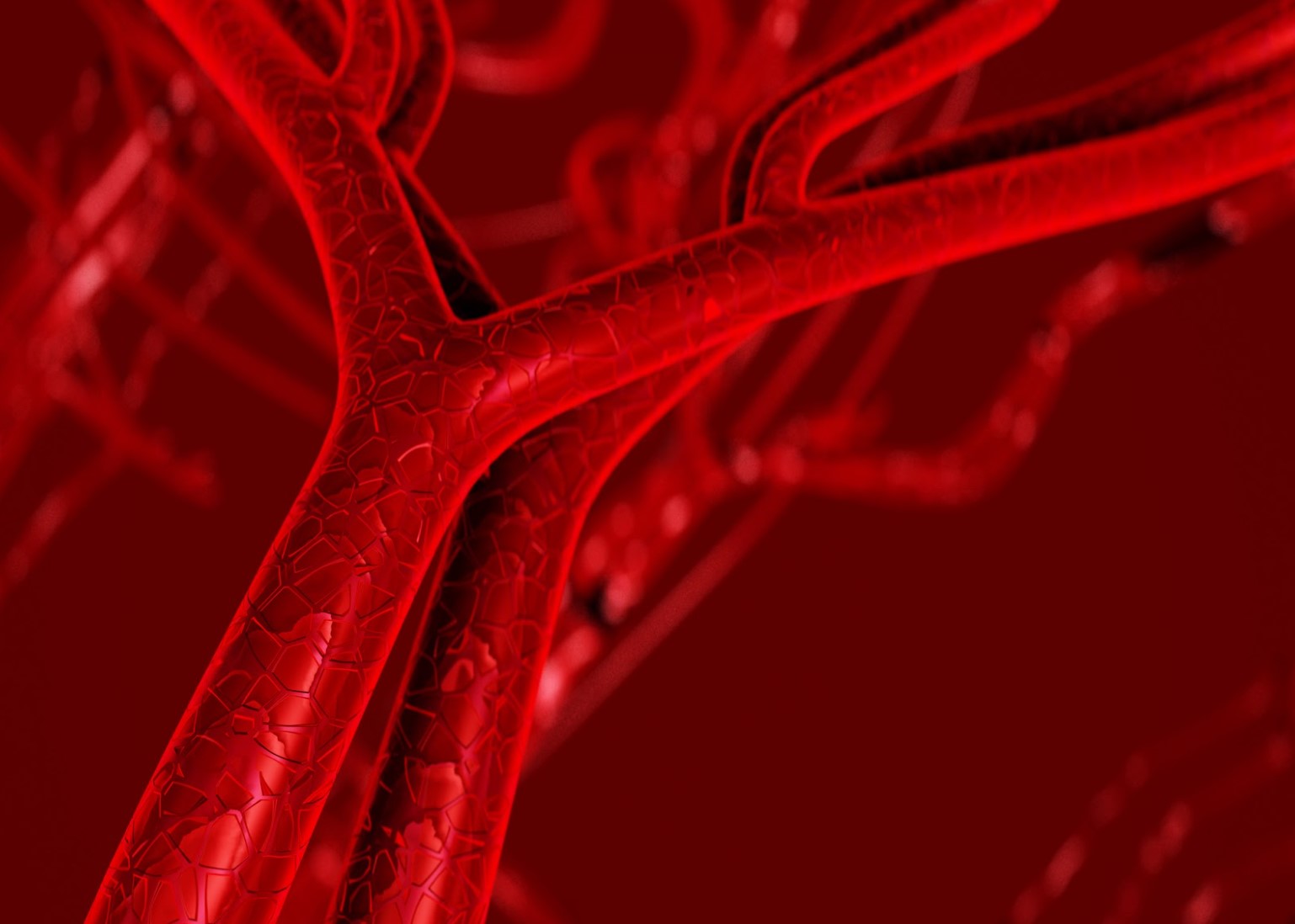 What Are Blood Vessels And How Do They Work?