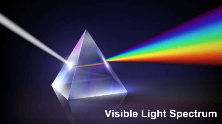 Why Are My Veins Blue? | USA Vein Centers